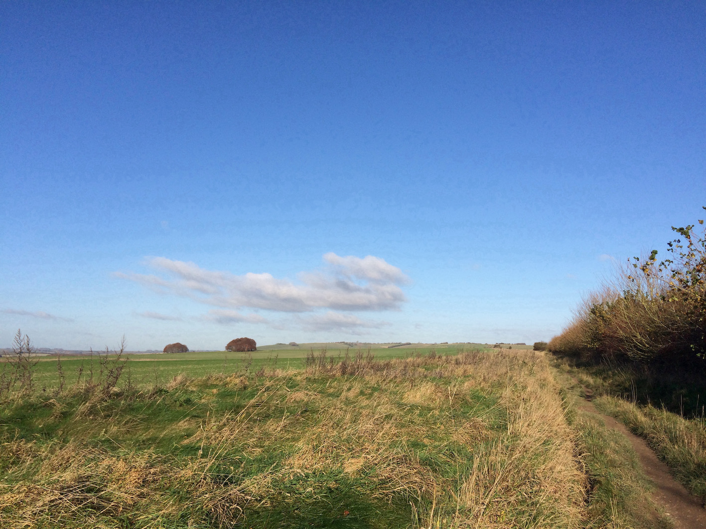 The Ridgeway Diary – C A Tonge